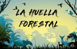 Modificación de la Ley Forestal peruana, una puerta abierta a la ...
