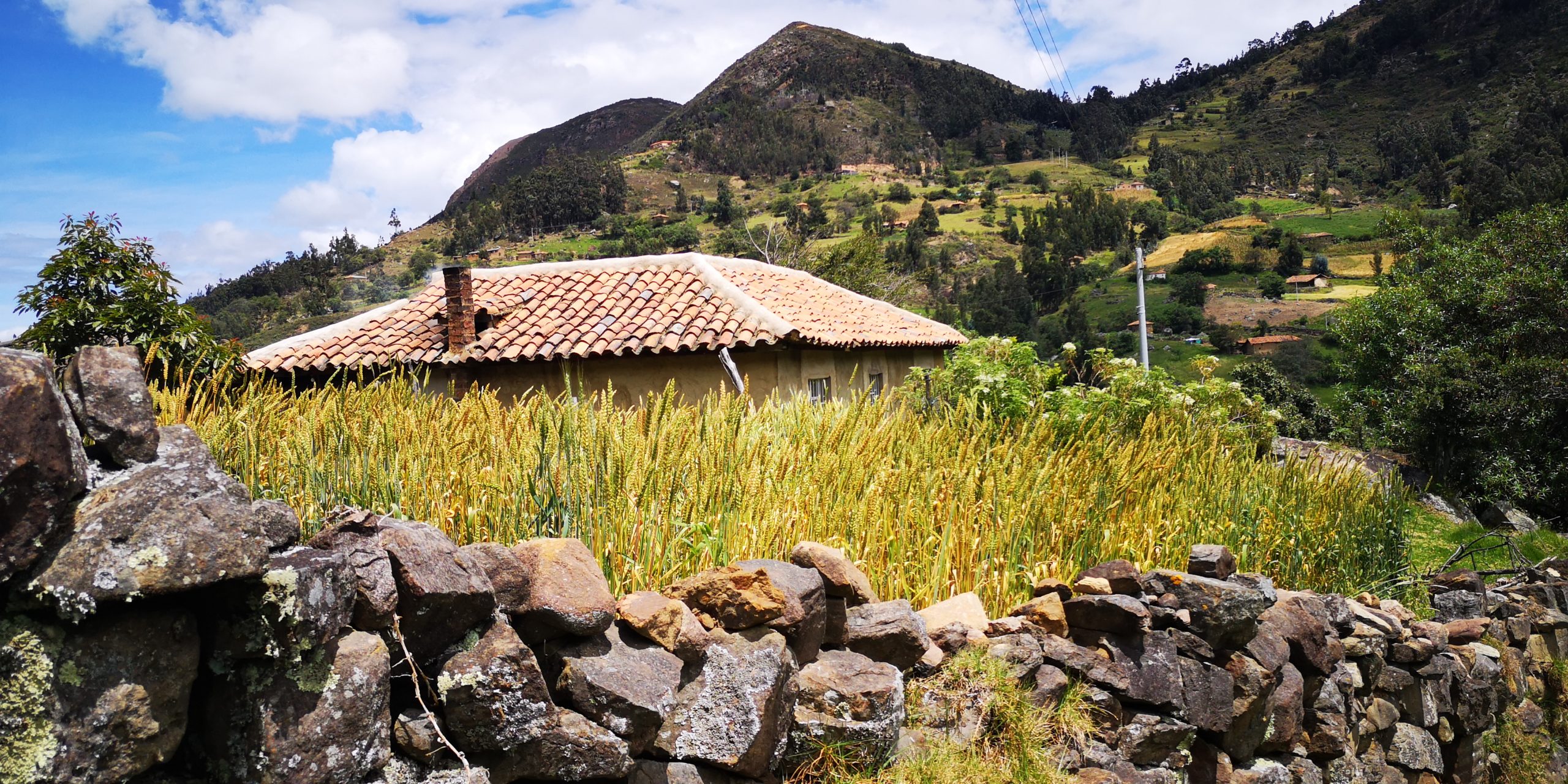 Agriculture et Patrimoine à Socota / Pisba - Envol Vert