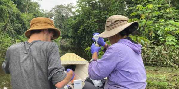 Nos Actus - Envol Vert